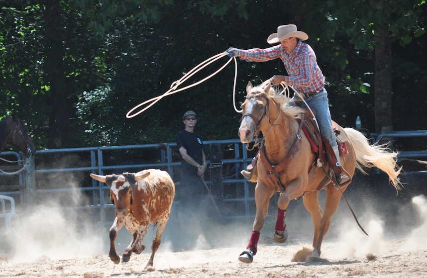 Under the eastern skies: Brown reflects on roping bucking bulls | The ...