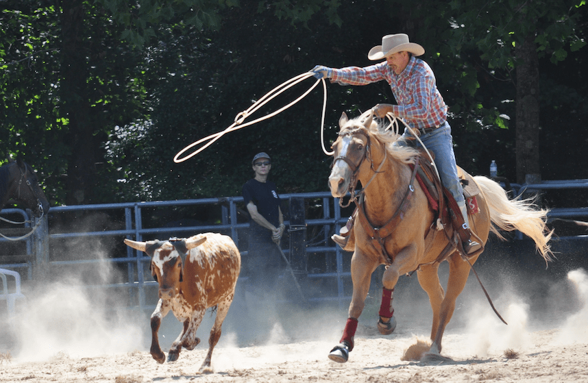 Under the eastern skies: Brown reflects on roping bucking bulls | The ...