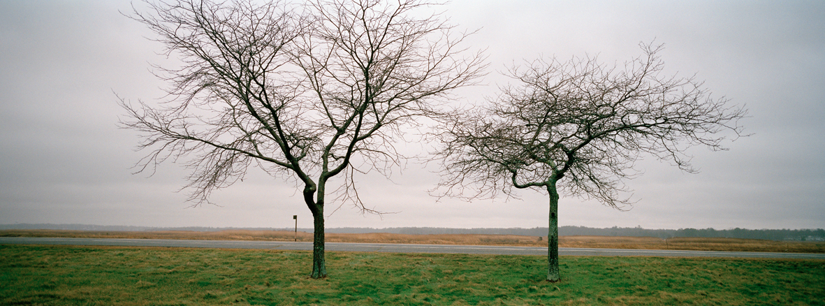 LCVA exhibit features Michael Mergen’s work | The Farmville Herald