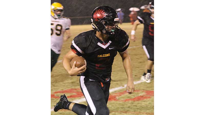 Falcons earn No. 3 state seed | The Farmville Herald