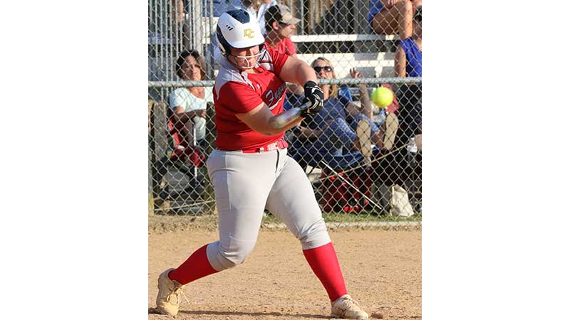 Lady Falcons return to softball state title game | The Farmville Herald