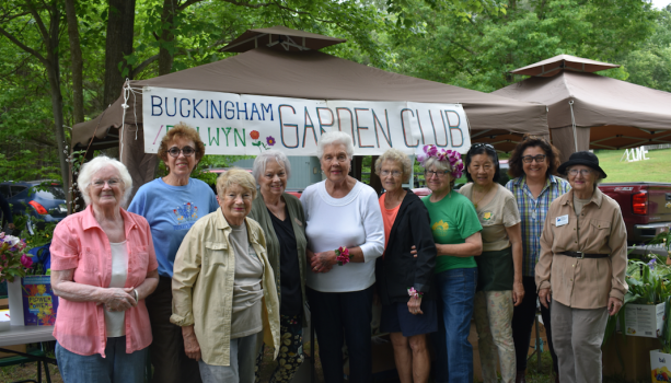 Taking a village to celebrate - Farmville | Farmville