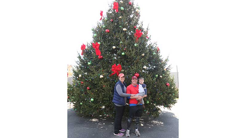 O Christmas tree - Farmville | Farmville