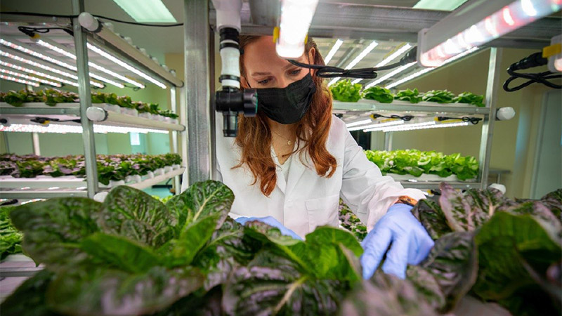 Robots are coming to the farm | The Farmville Herald