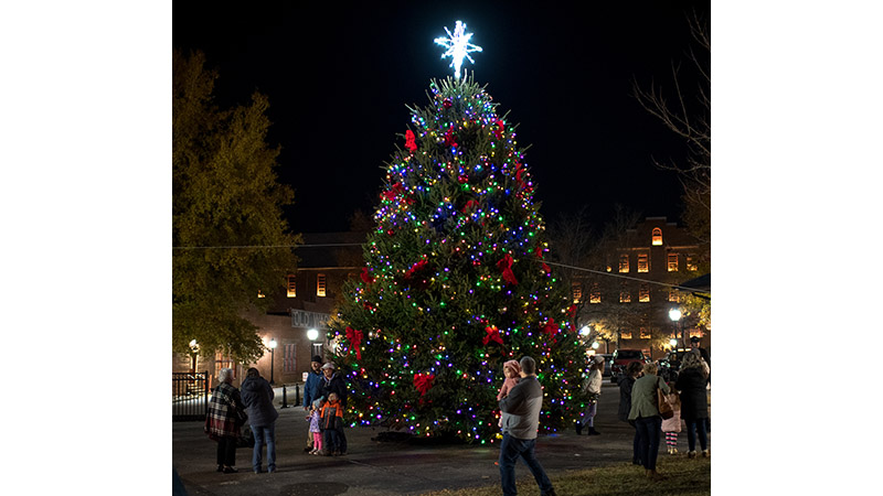 Tree lighting brings ‘Hope’ | The Farmville Herald