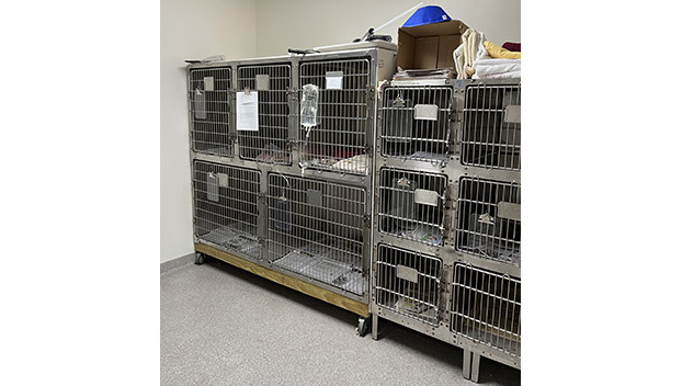 Ridge Animal Hospital: Taking care of Farmville’s pets since 1978 | The ...