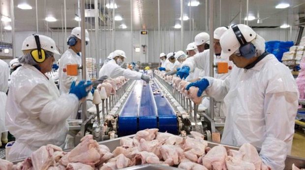 Next steps? Work continues to replace Tyson Foods plant | The Farmville ...