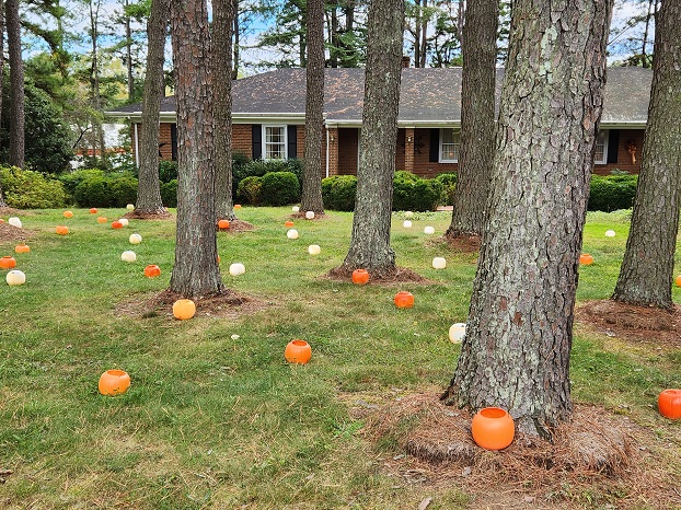 A Labor of Love: Simpson’s pumpkin patch brings joy to Farmville | The ...