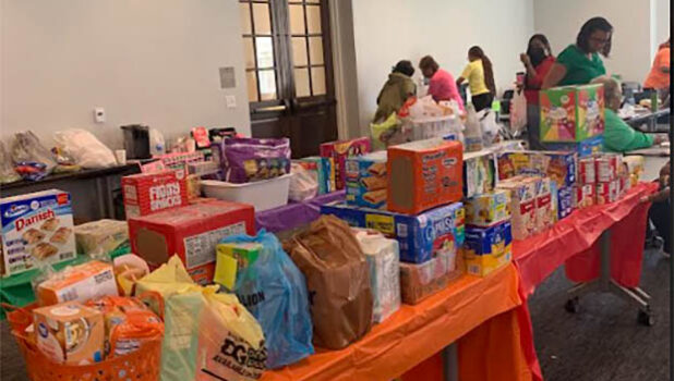 Alpha Kappa Alpha sorority sets up CHIPP program to help kids | Farmville