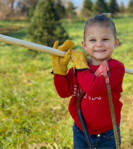 Discovering the magic of Christmas, one tree at a time | The Farmville ...